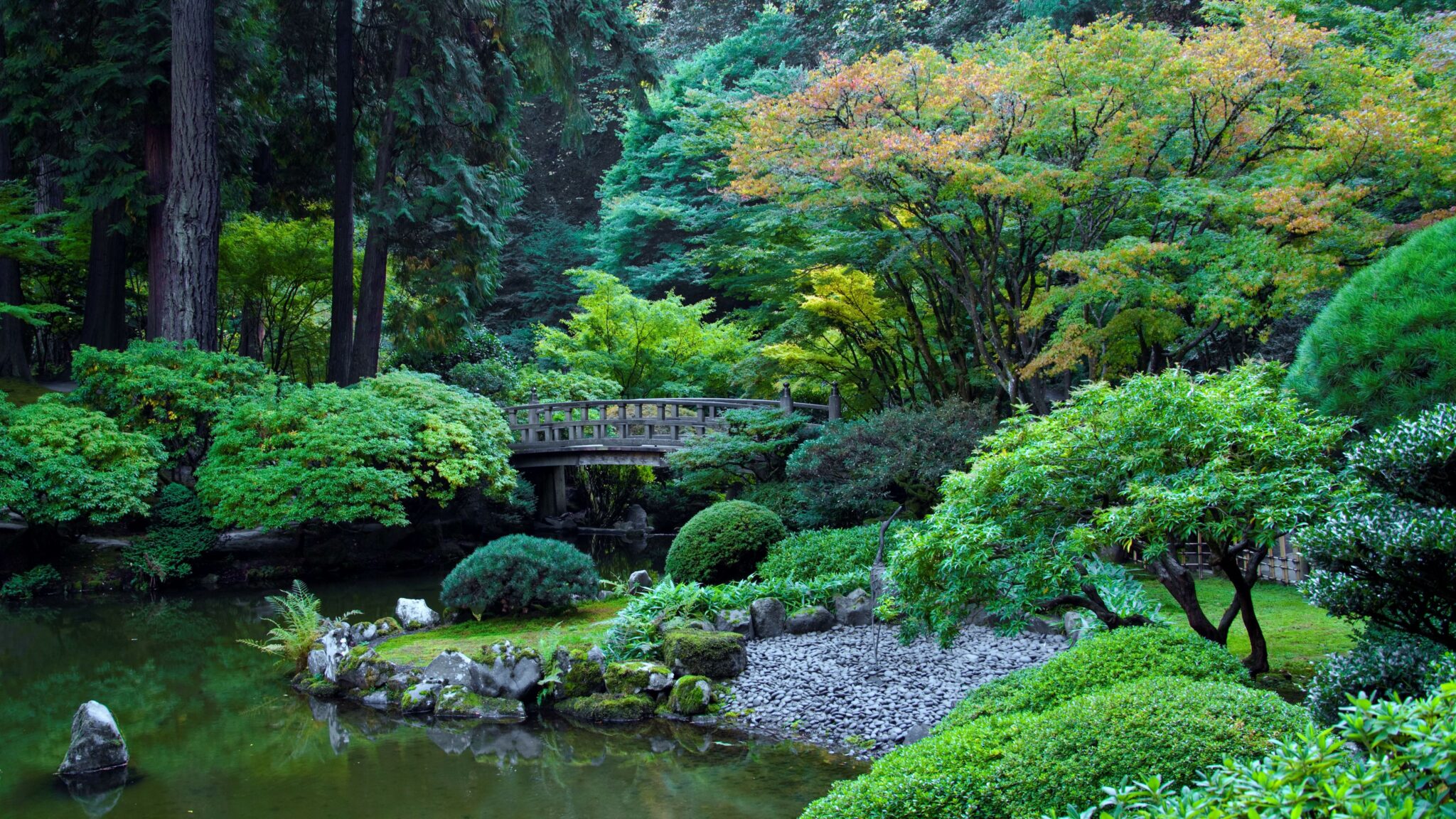 Izgradnja vlastitog Zen vrta: vodič za stvaranje spokojne i mirne oaze ...