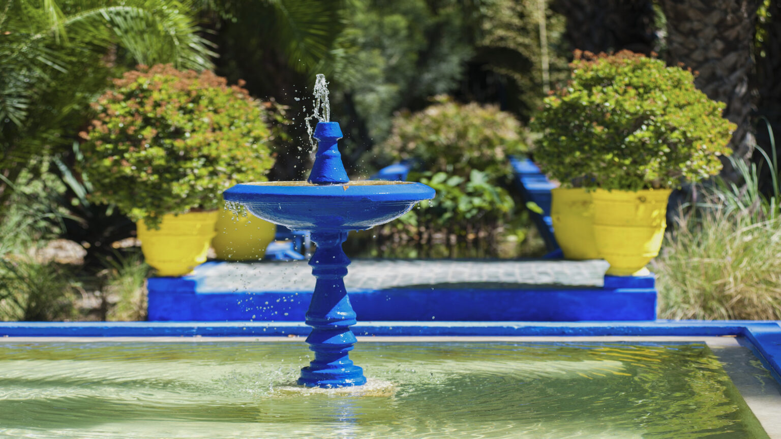 Jardin Majorelle – mali raj usred Marakeša - Dom na kvadrat